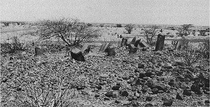 The Namoratunga of East Africa: Images of Kalokol