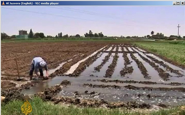 Managing the waters of the Nile, Hydraulic Civilization on the Nile