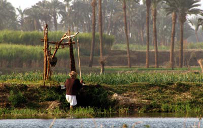 Managing the waters of the Nile, Hydraulic Civilization on the Nile